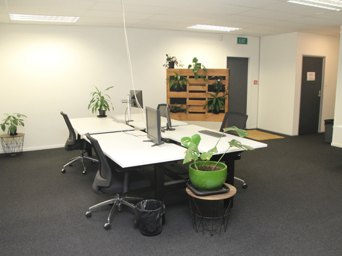 Pivot Whangarei Flexible Desks for Hire