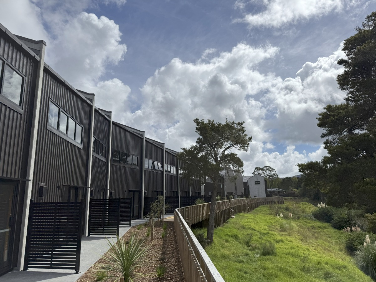 Modern Matakana Space
